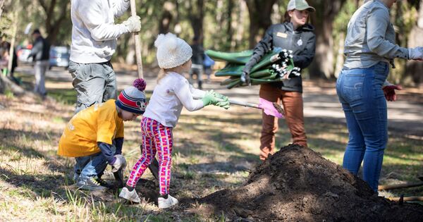 Savannah Tree Foundation